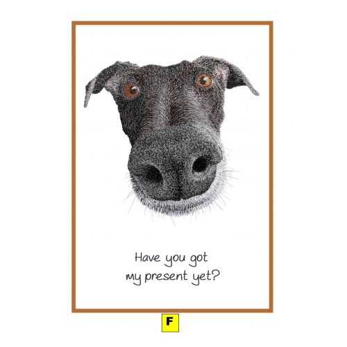 Individual Christmas Cards - Greyhounds in Need