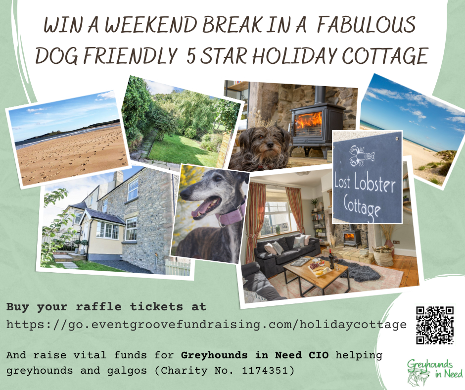 Weekend break - GIN raffle - Greyhounds in Need