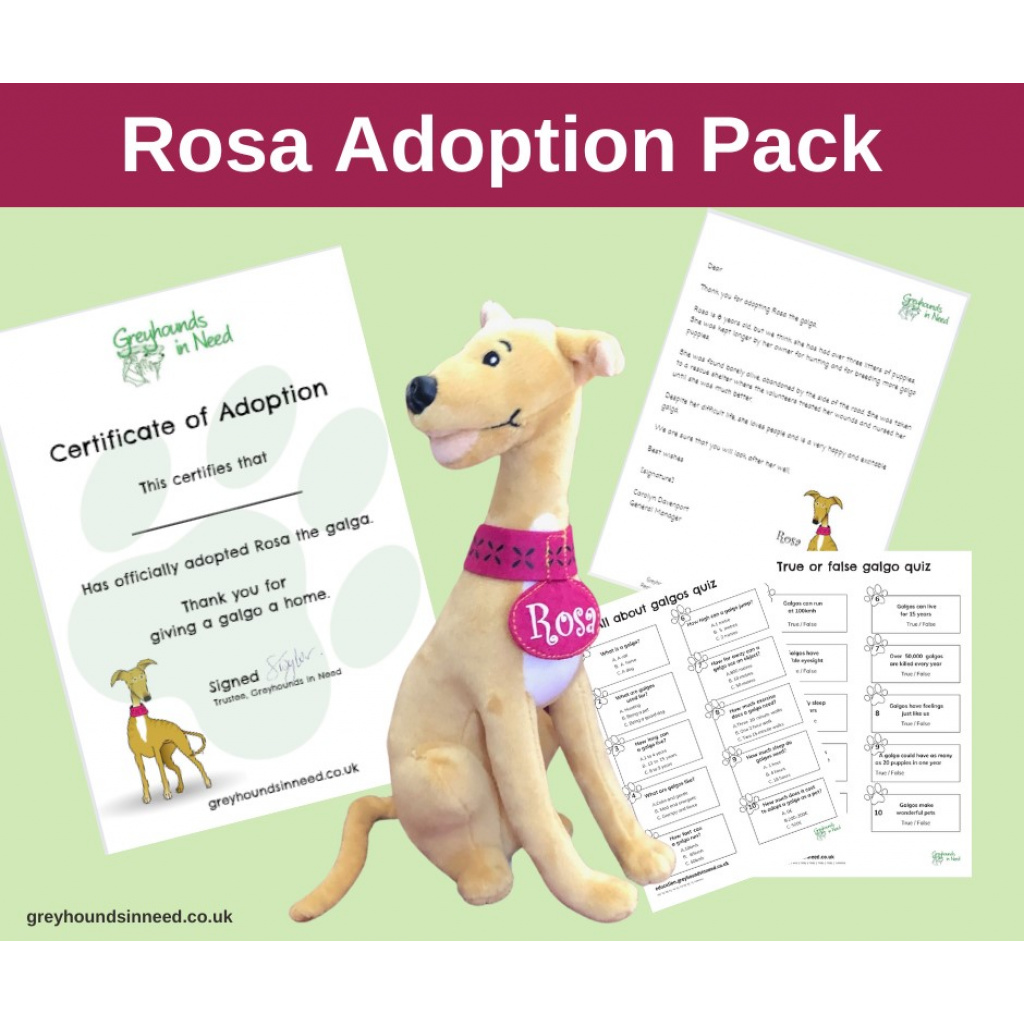 ROSA ADOPTION PACK - Greyhounds in Need