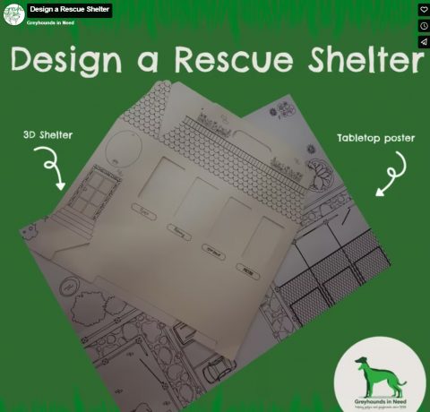 Design your own rescue shelter - Greyhounds in Need